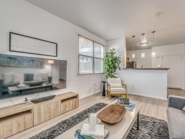 1 BR, 1 BA Apartment 1333 North Peak Street Unit 1215, Dallas, TX 75204