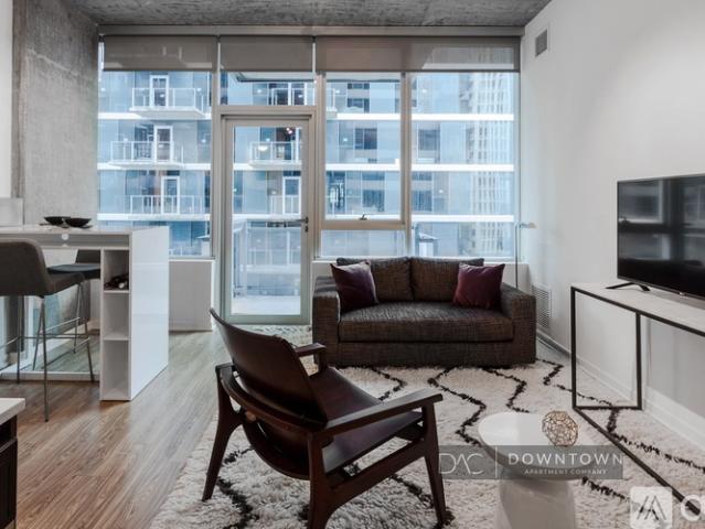 1 BR, 1 BA Apartment 1353 S Wabash Ave, Unit 1513, Chicago, IL 60605