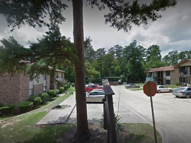 1 BR, 1 BA Apartment 1388 Adickes Allee Street, Hemphill, TX 75948