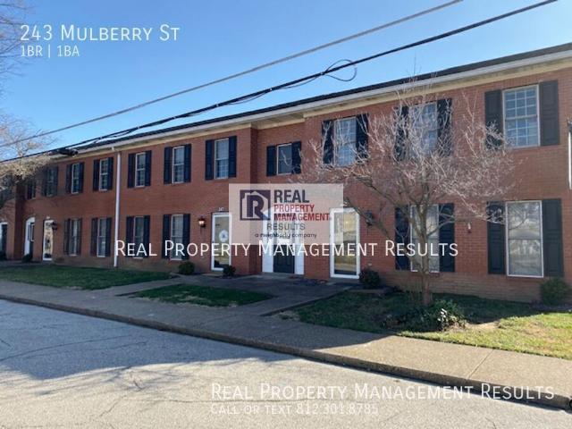 1 BR, 1 BA Apartment 243 Mulberry St, Evansville, IN 47713