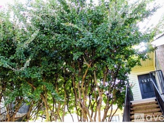 1 BR, 1 BA Apartment 2428 Forest Brook Lane, Unit 1212, Arlington, TX 76006