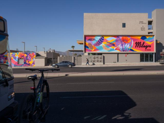 1 BR, 1 BA Apartment 2445 N Oracle Rd Unit 9309, Tucson, AZ 85705