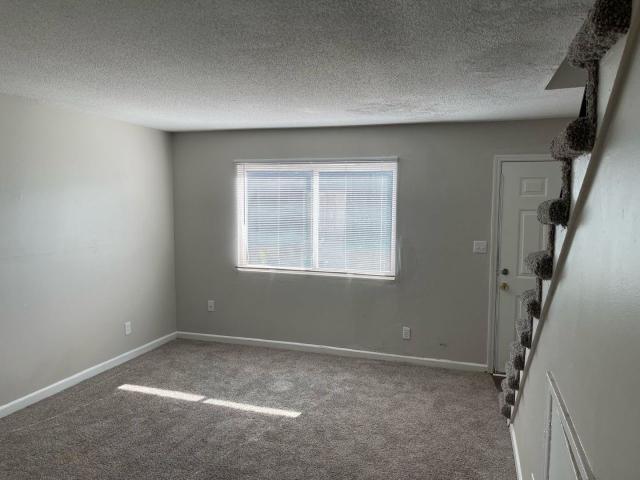 1 BR, 1 BA Apartment 2461 Damascus Rd Unit 2595 Unit 1A, Augusta, GA 30904