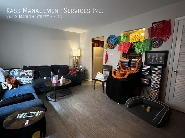 1 BR, 1 BA Apartment 246 S Marion Street, Oak Park, IL 60302