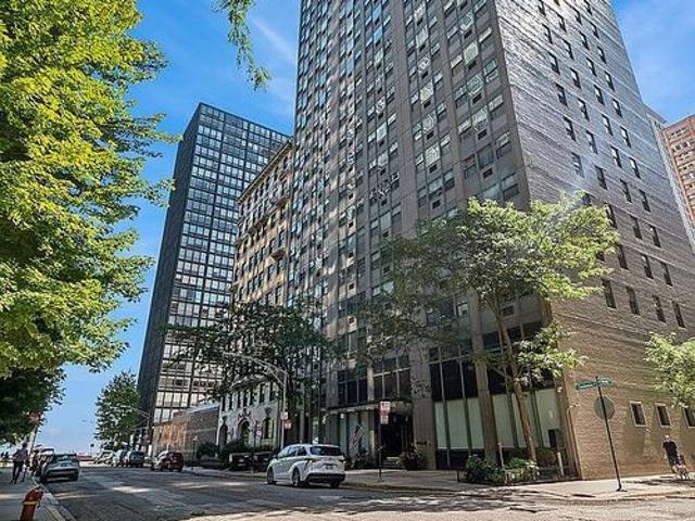 1 BR, 1 BA Apartment 253 East Delaware Place, Unit 21F, Chicago, IL 60611