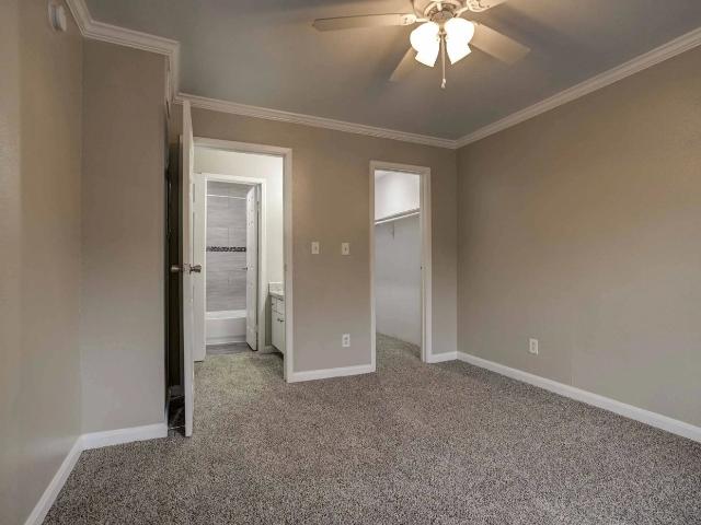 1 BR, 1 BA Apartment 2502 Alexander Ln Unit 1224, Pearland, TX 77581