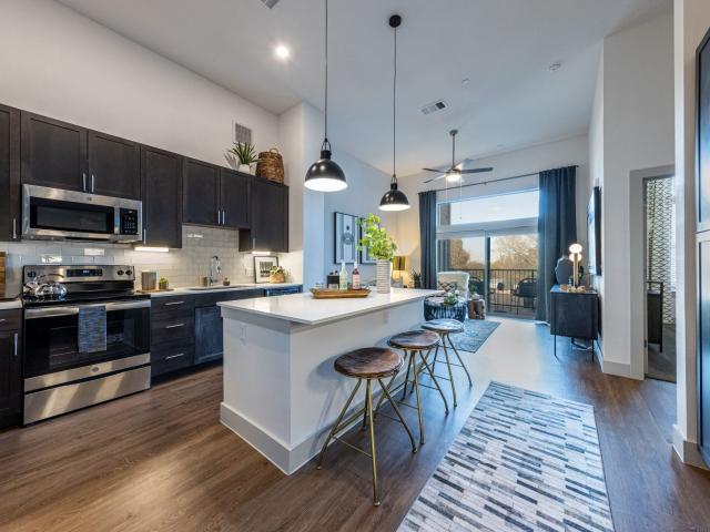 1 BR, 1 BA Apartment 2511 Montopolis Drive Unit 436, Austin, TX 78741