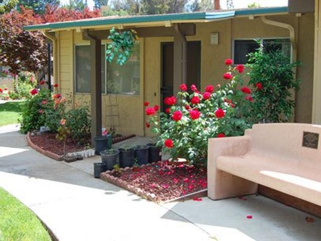 1 BR, 1 BA Apartment 251 Kottinger Dr Pleasanton, CA 94566