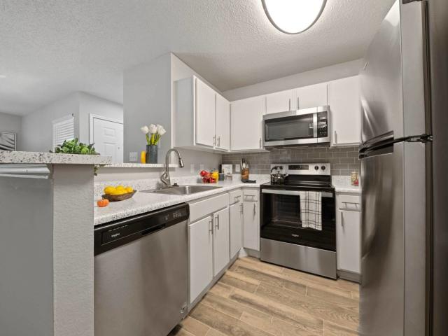 1 BR, 1 BA Apartment 256 East Corporate Drive Unit 1416, Lewisville, TX 75067