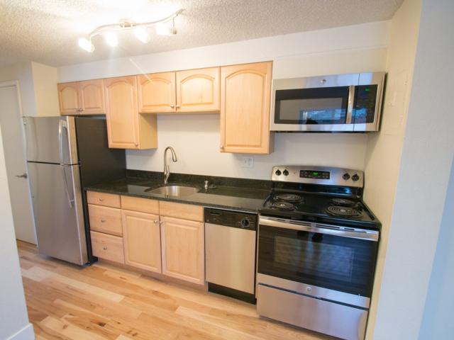 1 BR, 1 BA Apartment 263 North Grant Street, Denver, CO 80203