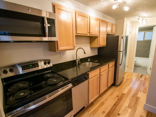 1 BR, 1 BA Apartment 263 North Grant Street, Denver, CO 80203