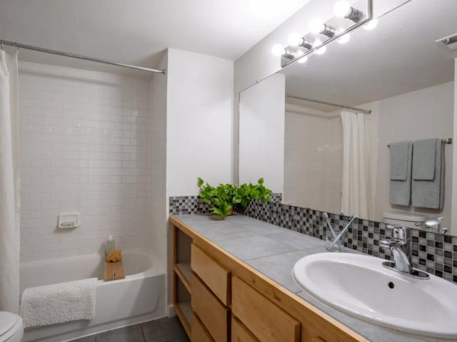 1 BR, 1 BA Apartment 2601 Penny Lane Unit ABB 2 110, Austin, TX 78757
