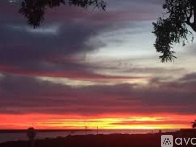 1 BR, 1 BA Apartment 2613 Mission Blvd, Unit Penthouse #8, San Diego, CA 92109