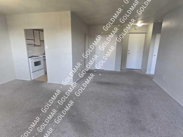1 BR, 1 BA Apartment 280 Sherk Street, Leamington, ON N8H 3L1