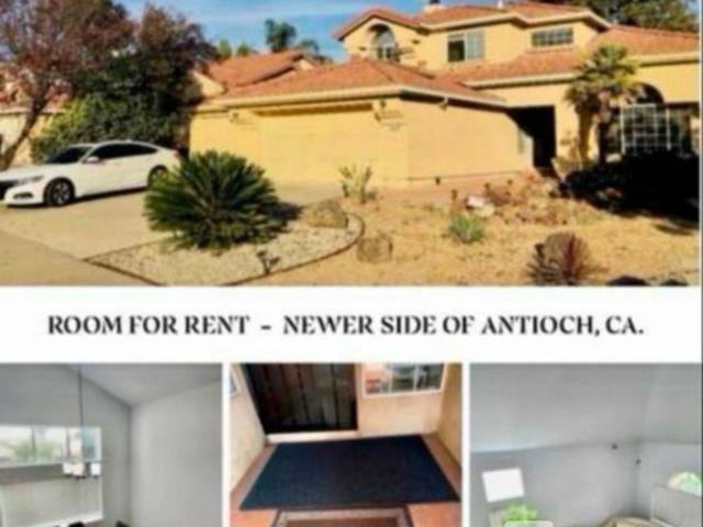 1 BR, 1 BA Apartment 2828 Woodbridge Way, Antioch, CA 94531