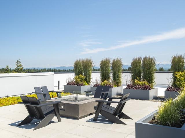 1 BR, 1 BA Apartment 2929 South 200th Street Unit 515IQ, Seattle, WA 98198