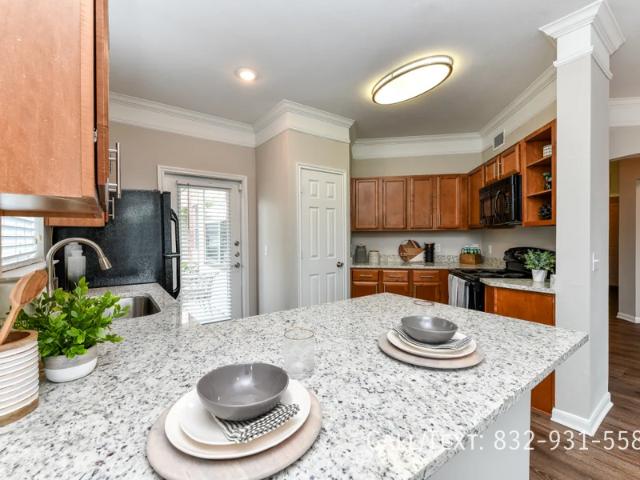 1 BR, 1 BA Apartment 2960 Synott Rd, Houston, TX 77077