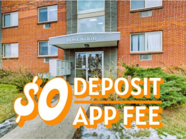 1 BR, 1 BA Apartment 298 W Powers Ave, Littleton, CO 80120