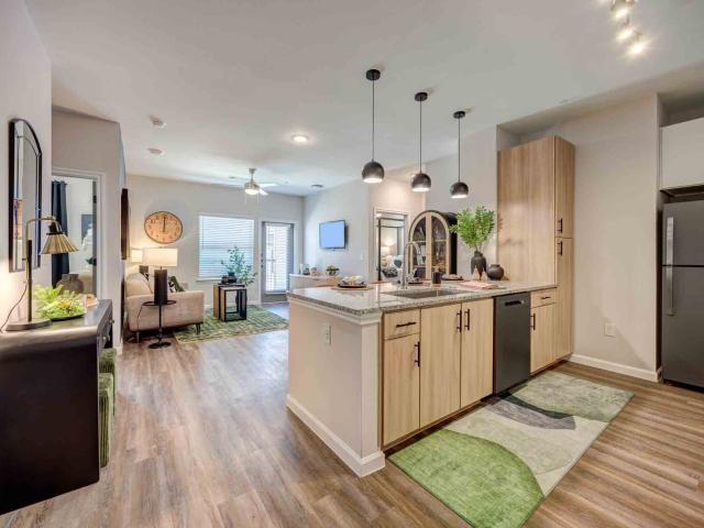 1 BR, 1 BA Apartment 2015 Oak Run Parkway Unit 12311, New Braunfels, TX 78132