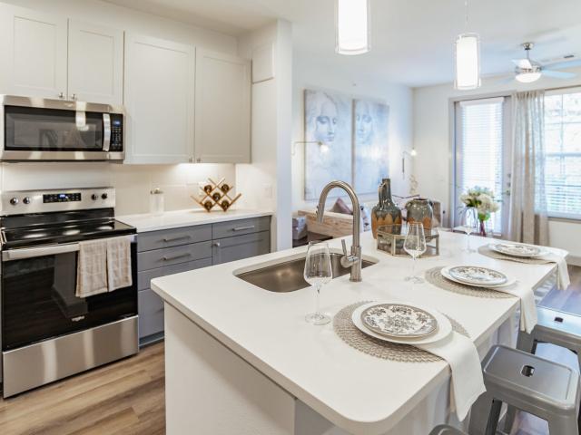 1 BR, 1 BA Apartment 20510 Cypress Plaza Parkway Unit 02204, Cypress, TX 77433