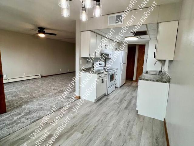 1 BR, 1 BA Apartment 205 W 18th St, Sioux Falls, SD 57105