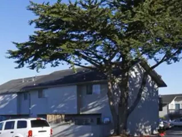 1 BR, 1 BA Apartment 205 Cosky Dr, Marina, CA 93933