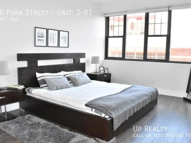 1 BR, 1 BA Apartment 20 Park Street, Albany, NY 12207