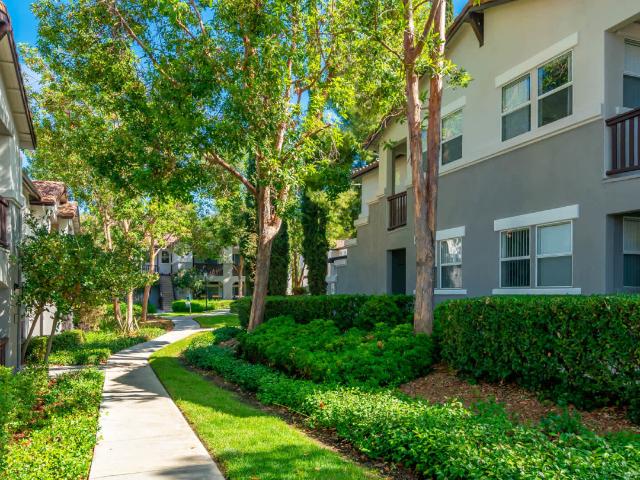 1 BR, 1 BA Apartment 21022 Los Alisos Boulevard Unit 1617, Rancho Santa Margarita, CA 92688