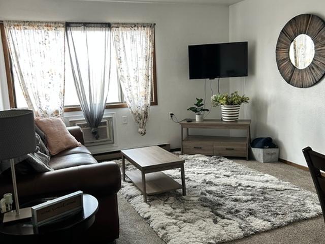 1 BR, 1 BA Apartment 210 4th Avenue West, Unit 4, Beardsley, MN 56211