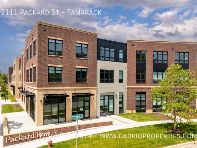 1 BR, 1 BA Apartment 2111 Packard St, Ann Arbor, MI 48104