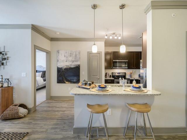 1 BR, 1 BA Apartment 21145 Spring Plaza Drive Unit 3114, Spring, TX 77388