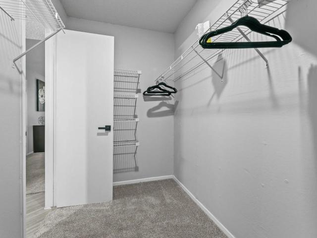 1 BR, 1 BA Apartment 2115 Estrada Parkway Unit 1 723, Irving, TX 75061