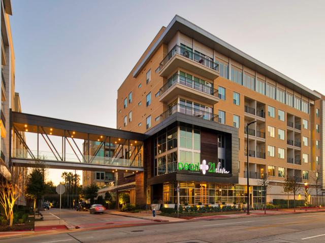1 BR, 1 BA Apartment 2119 Westheimer Road Unit 1203, Houston, TX 77098