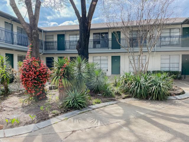 1 BR, 1 BA Apartment 211 E Davis St Unit SWOP 213, Dallas, TX 75203