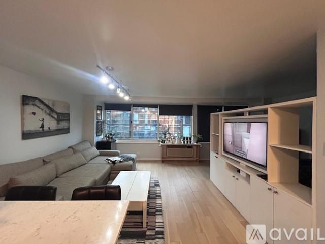 1 BR, 1 BA Apartment 211 East Ohio Street, Unit 2412, Chicago, IL 60611