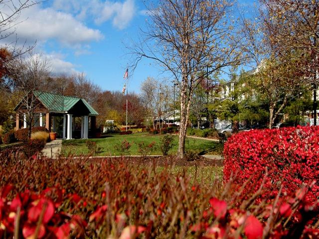 1 BR, 1 BA Apartment 217 Booth Street Unit 217 233, Gaithersburg, MD 20878