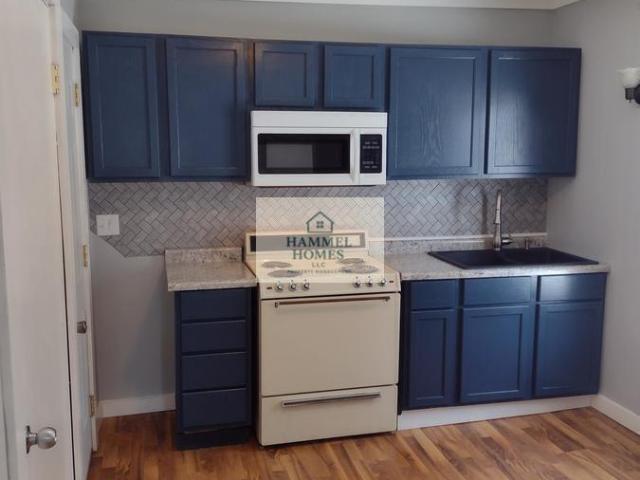 1 BR, 1 BA Apartment 214 W Humbird St, Rice Lake, WI 54868