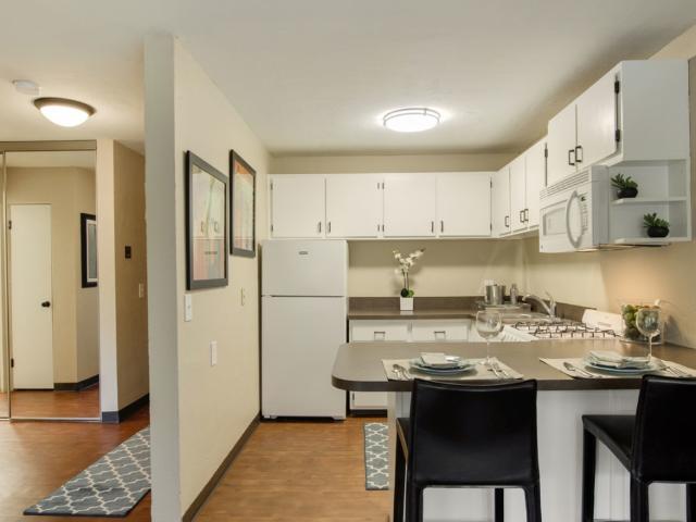 1 BR, 1 BA Apartment 223 Ridgewood Avenue Unit 229 105, Minneapolis, MN 55403