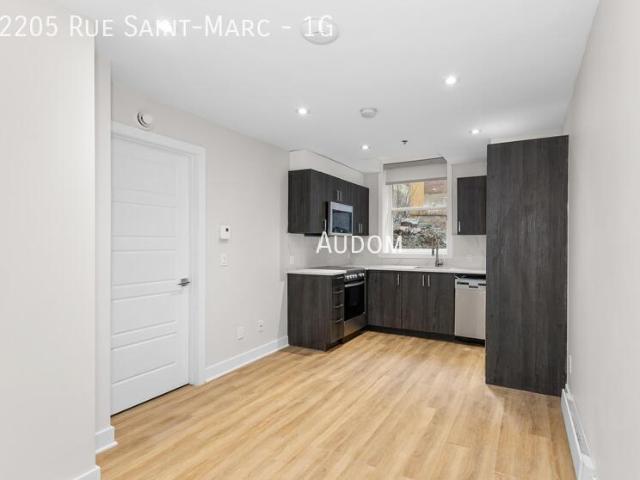 1 BR, 1 BA Apartment 2205 Rue Saint Marc, MontrÃ©al, QC H3H 2G9