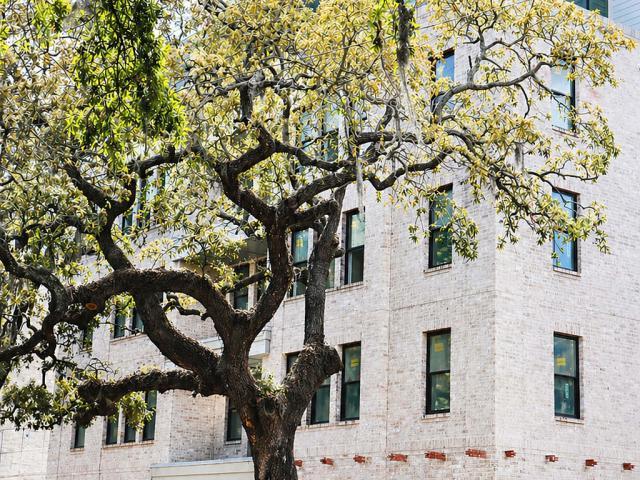1 BR, 1 BA Apartment 2213 Bull Street Unit 2318, Savannah, GA 31401