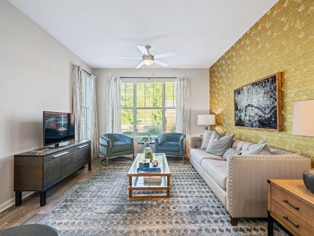 1 BR, 1 BA Apartment 221 Fairforest Way Unit 18106, Greenville, SC 29607