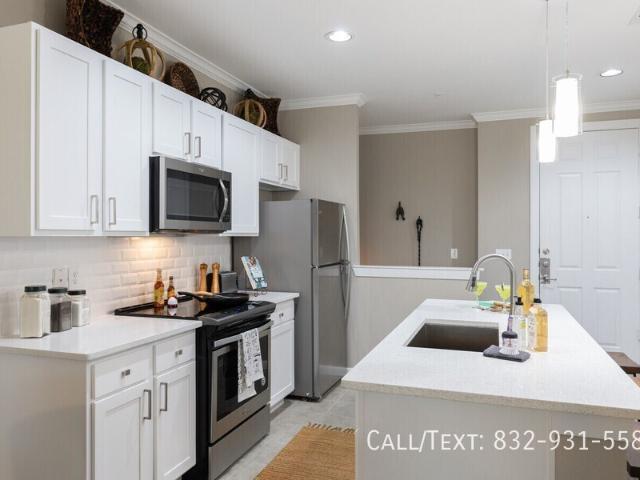 1 BR, 1 BA Apartment 2235 Timberloch Pl, Spring, TX 77380