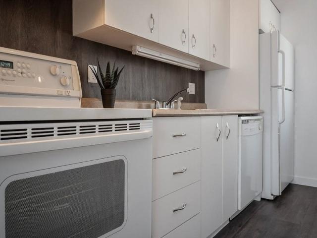 1 BR, 1 BA Apartment 2255 Thosand Oaks Dr, San Antonio, TX 78232