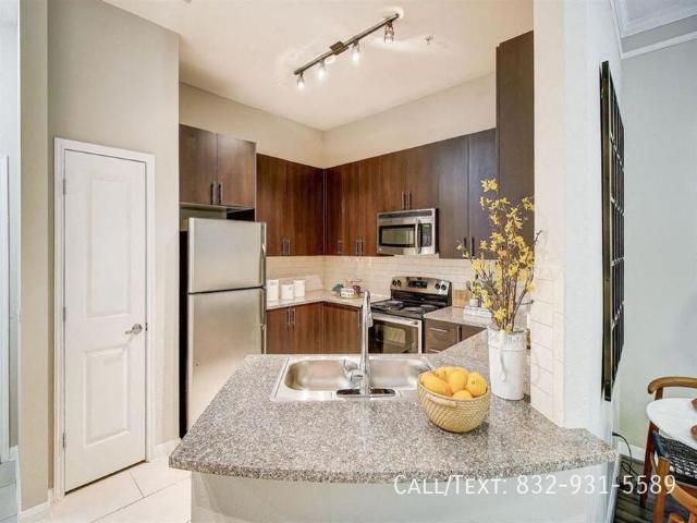 1 BR, 1 BA Apartment 225 S Heights Blvd, Houston, TX 77007