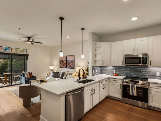1 BR, 1 BA Apartment 2300 Richmond Ave Unit 416, Houston, TX 77098