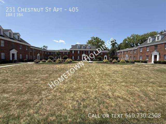 1 BR, 1 BA Apartment 231 Chestnut St Apt, Salem, VA 24153