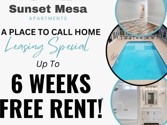 1 BR, 1 BA Apartment 237 South Ashland Unit 20, Mesa, AZ 85204