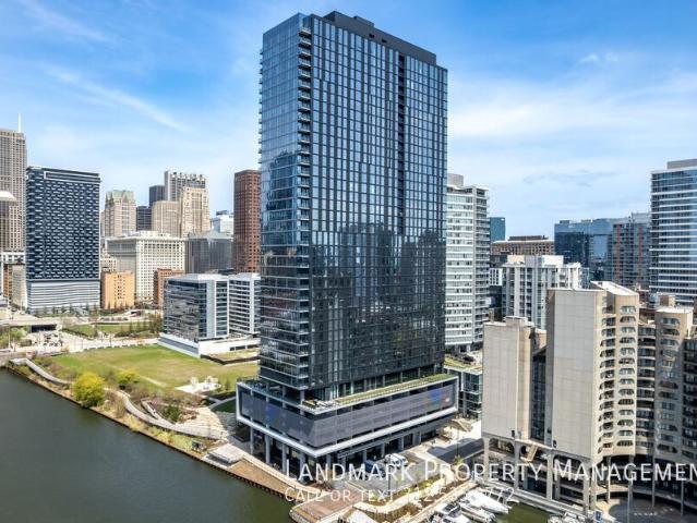 1 BR, 1 BA Apartment 234 West Polk Street Chicago, IL 60607, Chicago, IL 60607