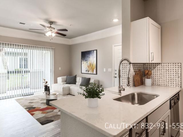 1 BR, 1 BA Apartment 234 E Medical Center Blvd, Webster, TX 77598