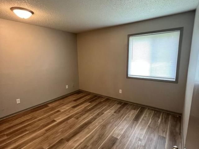 1 BR, 1 BA Apartment 235 Ash St, Carlisle, IA 50047